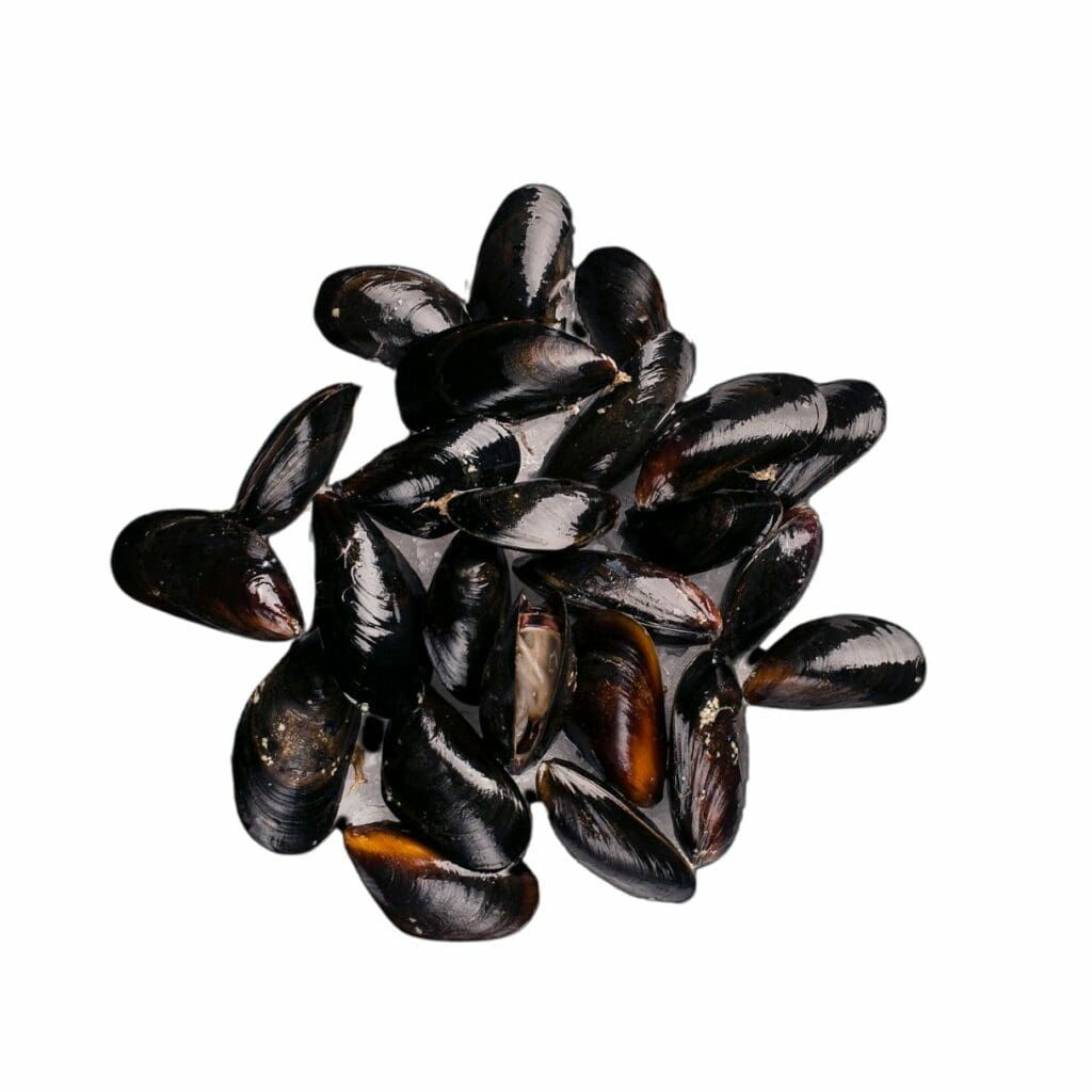 Products | Sustainably Caught Canadian Seafood